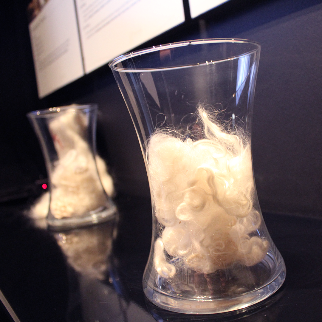 JANSENVILLE - Karoo Heartland