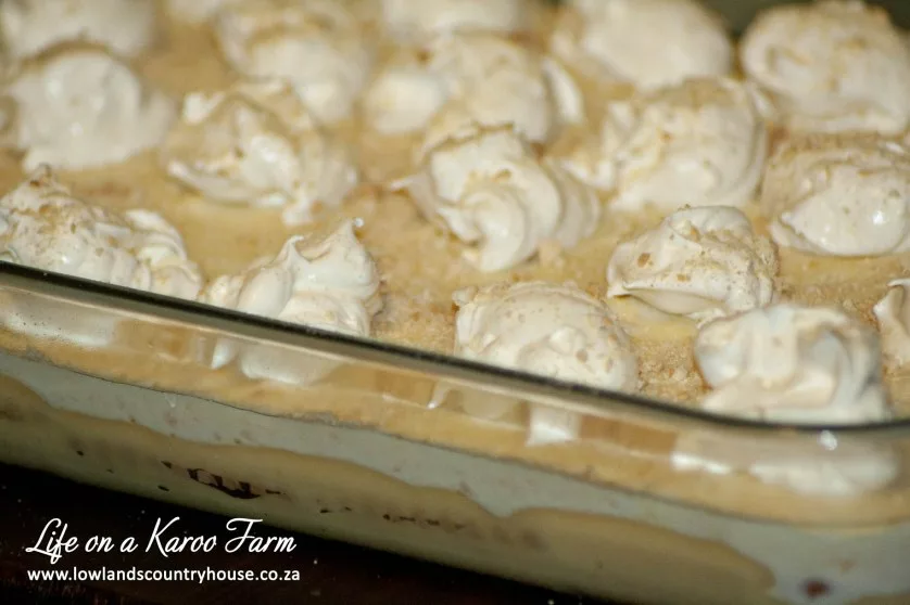 CUSTARD PUDDING - Karoo Heartland