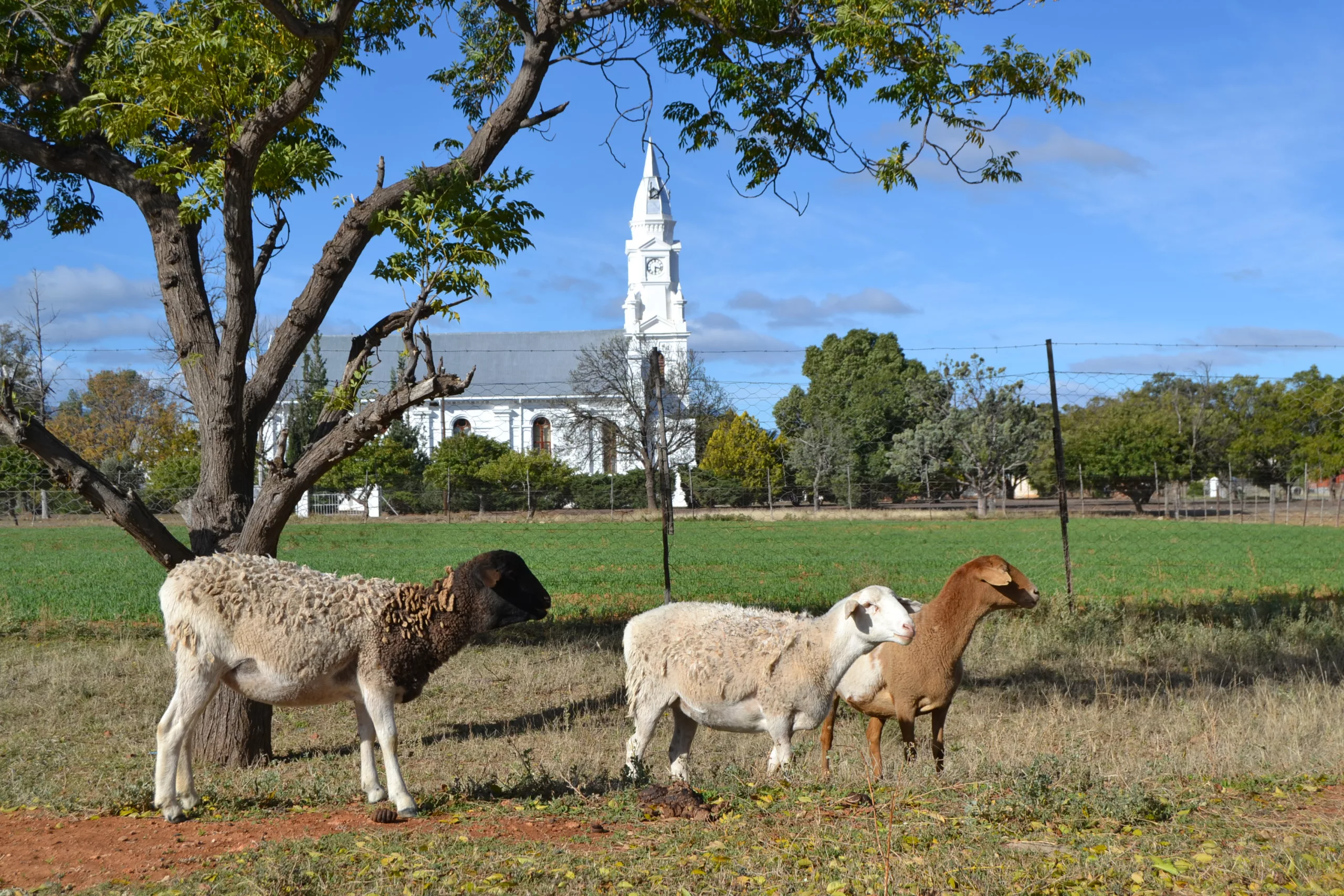 Pearston Dutch Reformed Church - Karoo Heartland